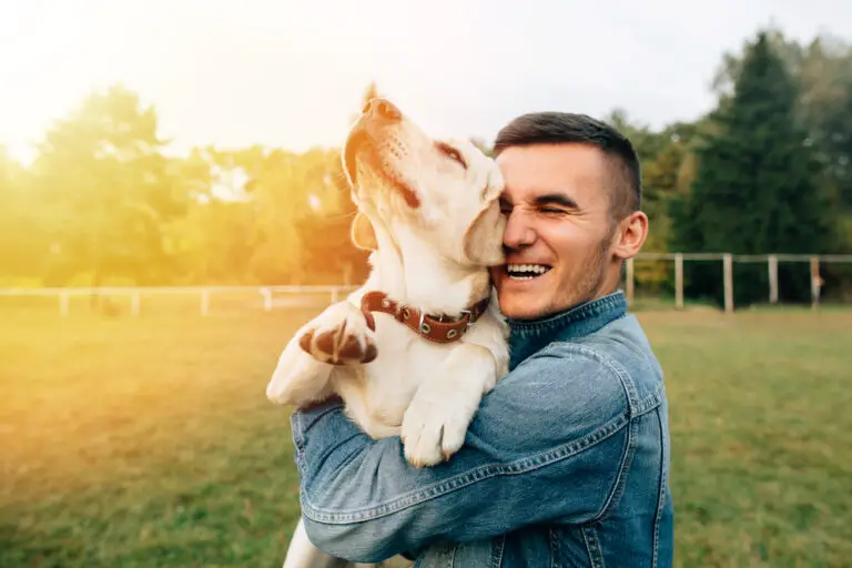 People Who Prefer Animals Over People Have These 15 Traits – psychlove.co